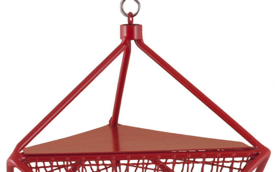 Picture of WG335 peanut feeder Cube red isolated free - BoBizz